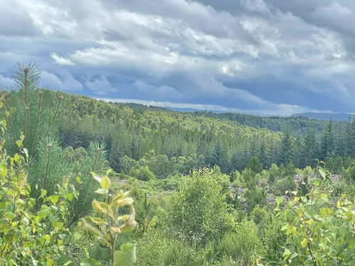 10 Best Trails, Walks, and Paths in Strathpeffer | AllTrails