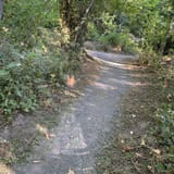 Camp Long Trails, Washington - 166 Reviews, Map | AllTrails