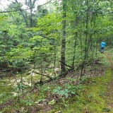 Red Cedar Trail, Illinois - 509 Reviews, Map | AllTrails