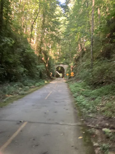 2023 Best Lake Trails in Rockmart | AllTrails