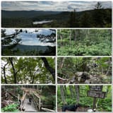 Wheeler Mountain Trail, Vermont - 389 Reviews, Map | AllTrails