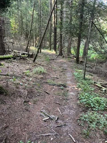 Best Hikes and Trails in Cargill | AllTrails