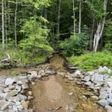 Pudding Pond Loop, New Hampshire - 292 Reviews, Map | AllTrails