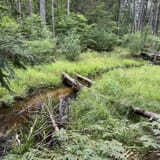 Pudding Pond Loop, New Hampshire - 292 Reviews, Map | AllTrails