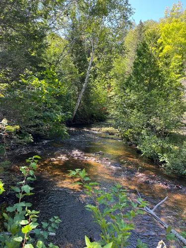 Best Hikes and Trails in Allouez | AllTrails