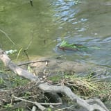 Waverly Rail Trail, Iowa - 39 Reviews, Map | AllTrails