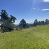 Colorow Mountain Forest and Meadow Loop Trail, Colorado - 509 Reviews ...