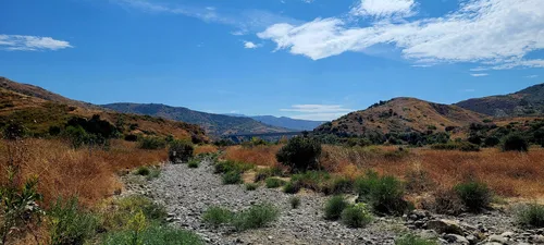Best Hikes and Trails in Irvine Regional Park | AllTrails