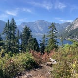 Widgeon Lake Trail, British Columbia, Canada - 101 Reviews, Map | AllTrails