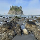 Second Beach, Washington - 1,486 Reviews, Map | AllTrails