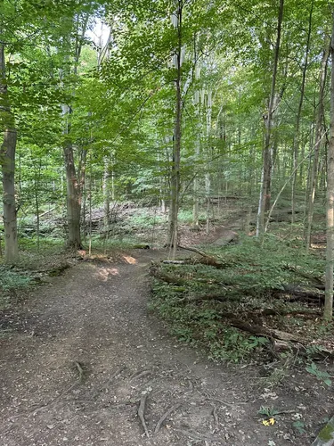 Best Hikes and Trails in River Styx Valley North Park | AllTrails