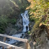 Chief Joseph Mountain Trail, Oregon - 295 Reviews, Map | AllTrails