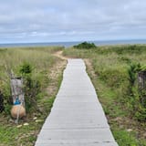 Hither Hills Trail, New York - 143 Reviews, Map | AllTrails