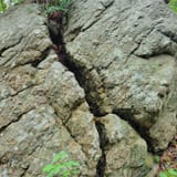 Hither Hills Trail, New York - 143 Reviews, Map | AllTrails