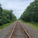 Hither Hills Trail, New York - 143 Reviews, Map | AllTrails