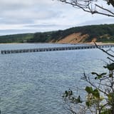 Hither Hills Trail, New York - 143 Reviews, Map | AllTrails
