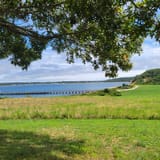 Hither Hills Trail, New York - 143 Reviews, Map | AllTrails