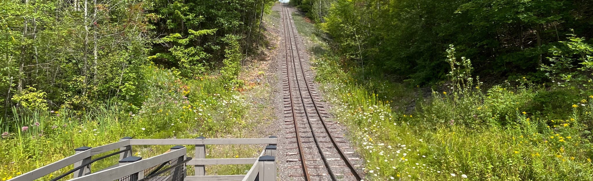 Quincy Tram Trail #3, Michigan - 5 Reviews, Map | AllTrails