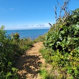 Hither Hills Trail, New York - 161 Reviews, Map | AllTrails