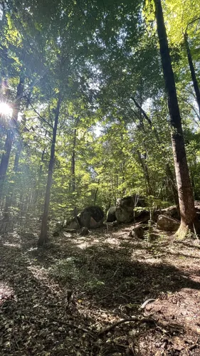 10 Best Lake Trails in Latta Nature Preserve | AllTrails