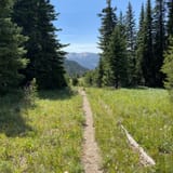 Windy Pass Trail, Montana - 103 Reviews, Map | AllTrails