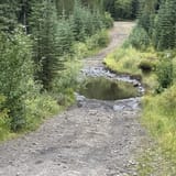 Kakwa Falls Trail, Alberta, Canada - 24 Reviews, Map | AllTrails