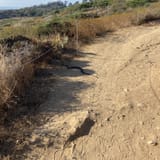 Red Butte, Yucca Point, and Razor Point Trail, California - 1,391 ...