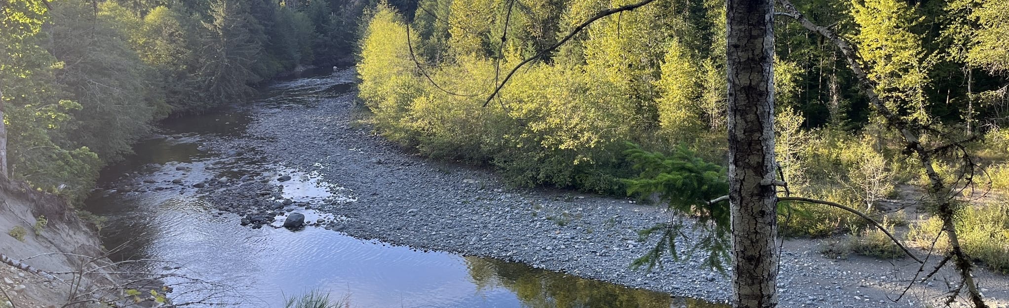 Bear Creek Nature Park Loop: 54 Reviews, Map - British Columbia, Canada ...