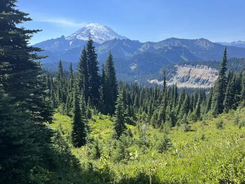 2023 Best Wild Flowers Trails in Goose Prairie | AllTrails