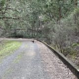 Pakenham Loop via Cardinia Aqueduct Trail, Victoria, Australia - 89 ...