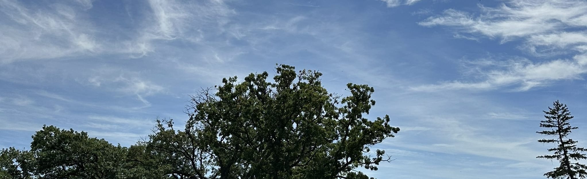 Frogtown Farm Loop, Minnesota - 22 Reviews, Map | AllTrails