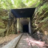 Point Lookout Trail, North Carolina - 626 Reviews, Map | AllTrails