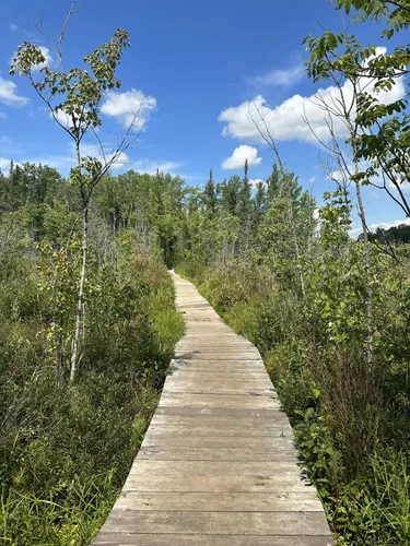 Best Hikes and Trails in Silver Lake Provincial Park, Ontario | AllTrails