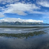 Tonsina Creek Trail, Alaska - 1,261 Reviews, Map | AllTrails
