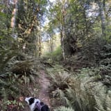 Red Town and Wildside Trails, Washington - 646 Reviews, Map | AllTrails