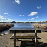 Lake Rotokauri Walk, Waikato, New Zealand - 16 Reviews, Map | AllTrails