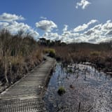 Lake Rotokauri Walk, Waikato, New Zealand - 16 Reviews, Map | AllTrails