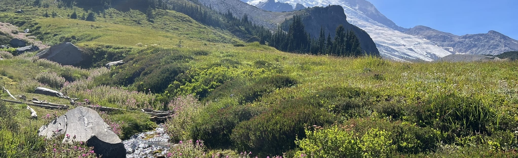 Camp Summerland and Lakes via Wonderland Trail, Washington - 720 ...