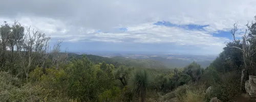 10 Best Walking Trails in Bunya Mountains National Park | AllTrails