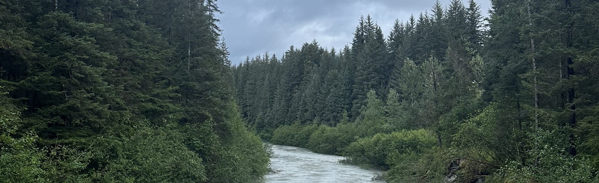 Windfall Lake Trail, Alaska - 118 Reviews, Map | AllTrails