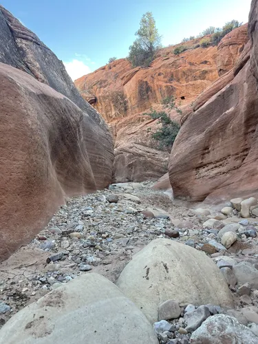 Best Hikes and Trails in Gunlock State Park | AllTrails