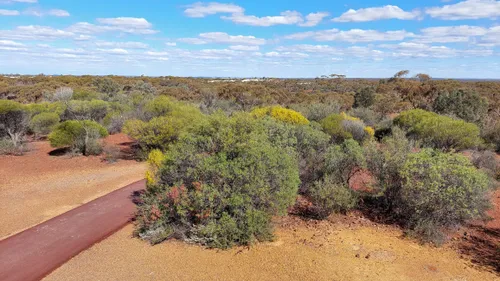 Best Hikes and Trails in Karlkurla Bushland Park | AllTrails
