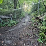 Hazard Cave and Natural Bridge Trail, Tennessee - 369 Reviews, Map ...