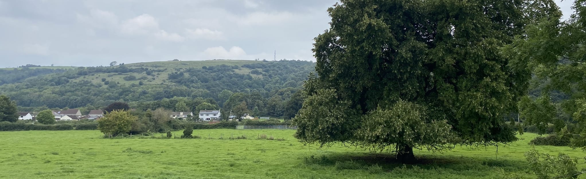 Cheddar Reservoir Circular, Somerset, England - 99 Reviews, Map | AllTrails