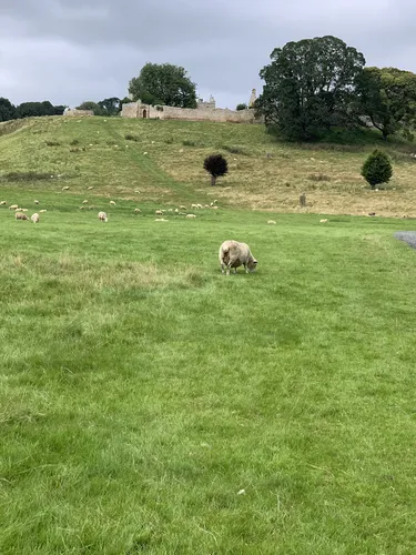 2023 Best Partially Paved Trails in Hulme Park | AllTrails