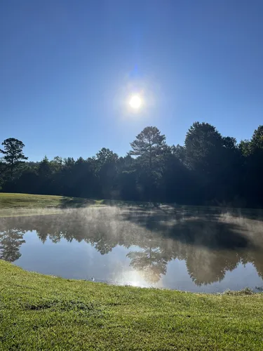 Best Hikes and Trails in McIntosh Reserve Park | AllTrails