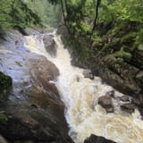 Auger Falls Loop, New York - 606 Reviews, Map | AllTrails