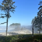 Olympic Peninsula Loop Drive, Washington - 36 Reviews, Map | AllTrails