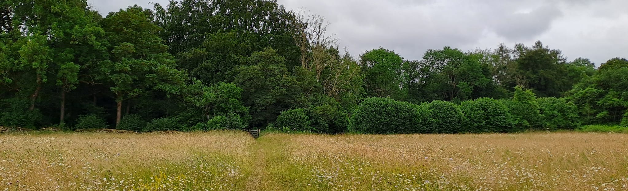 Wysis Way: Box Bush to Kemble, Gloucestershire, England - Map, Guide ...