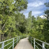 Moore Park Ravine Trail, Ontario, Canada - 991 Reviews, Map | AllTrails